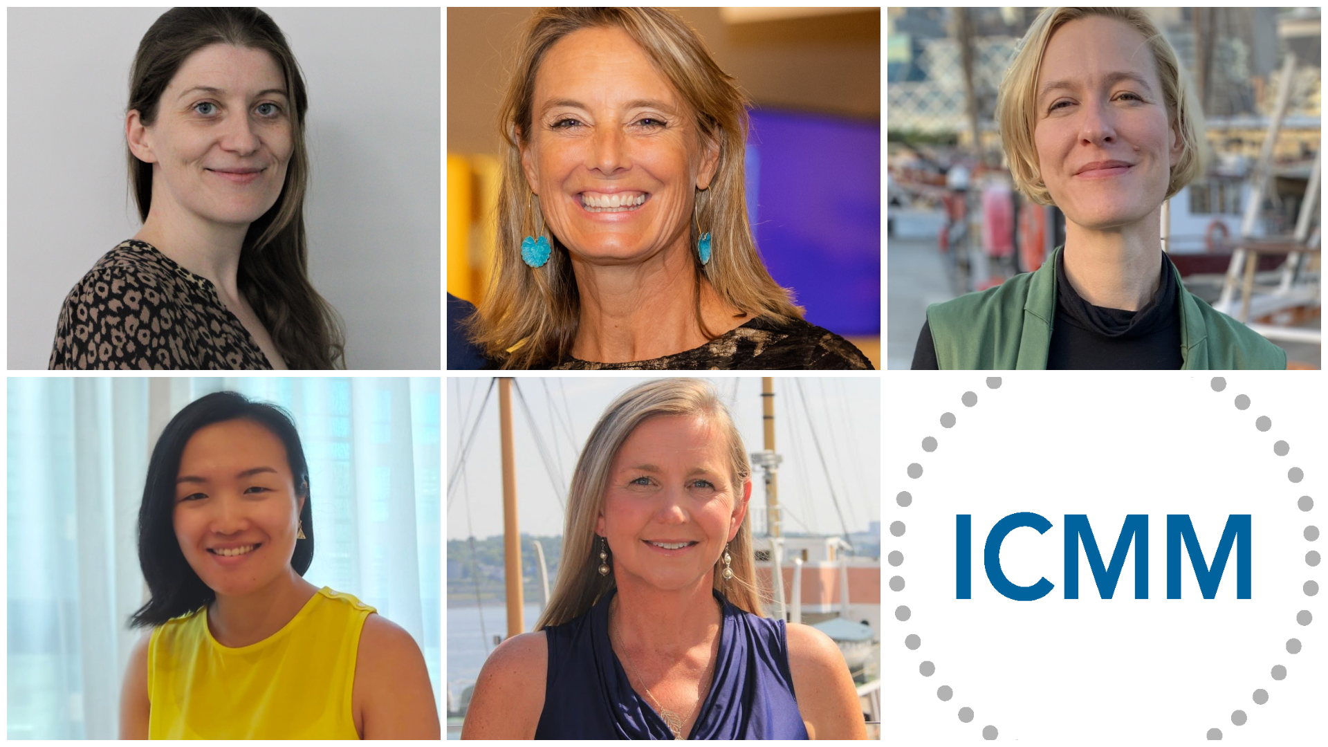 Ocean Sustainability Committee – International Congress of Maritime Museums